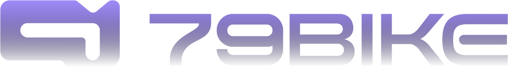 79BIKE Falcon GT Electric Dirt Bike – 79Bike